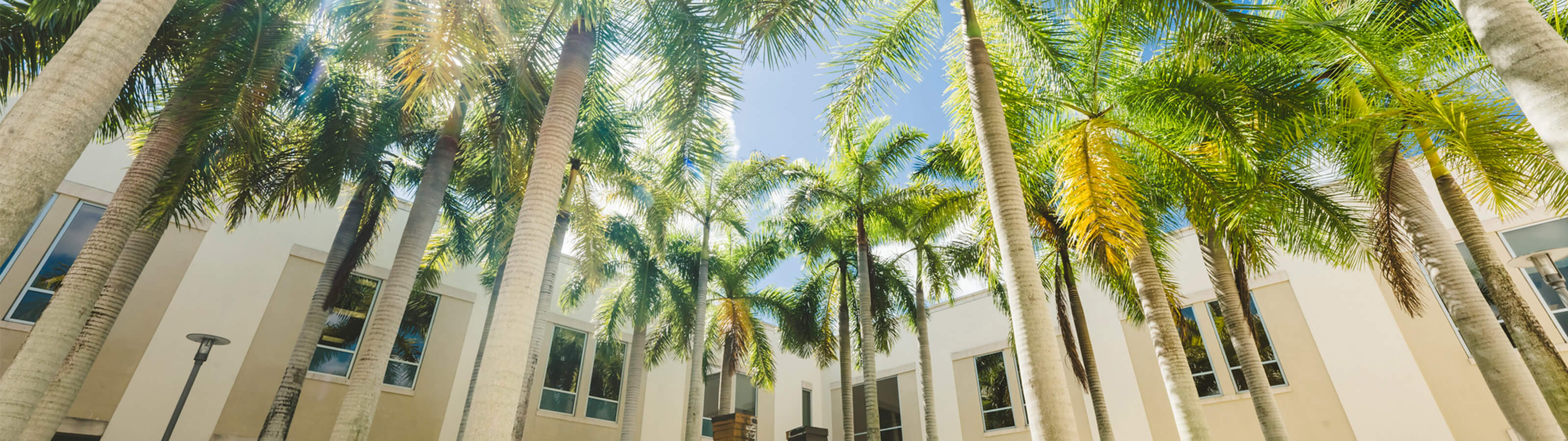 Rankings and Outcomes | FIU College of Law